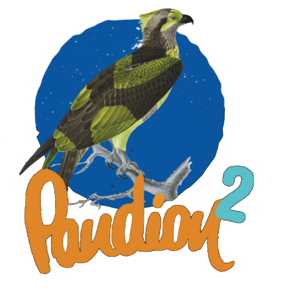 PANDION 2 (パンディオン2) | 東京・関東から近いパラグライダー・ハンググライダ－ スクール Sports Opa Kite ...